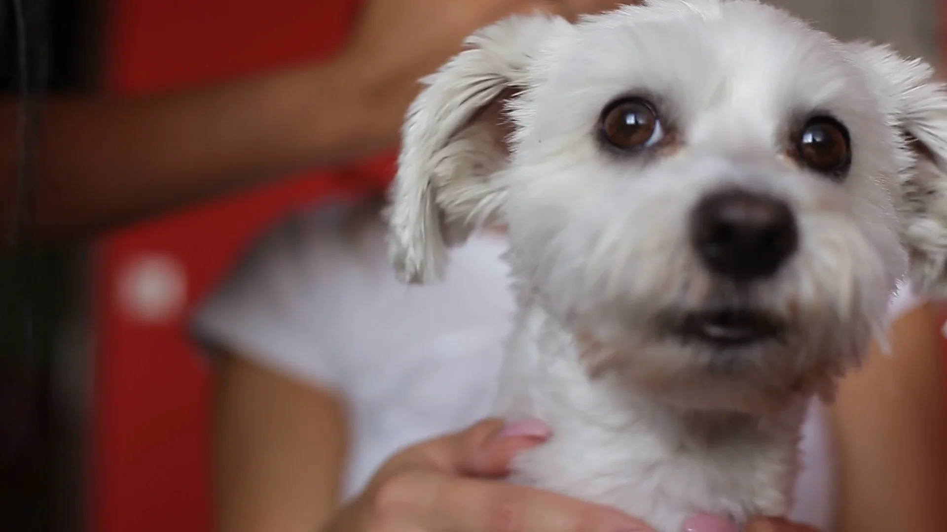 Janka a Peter on Vimeo