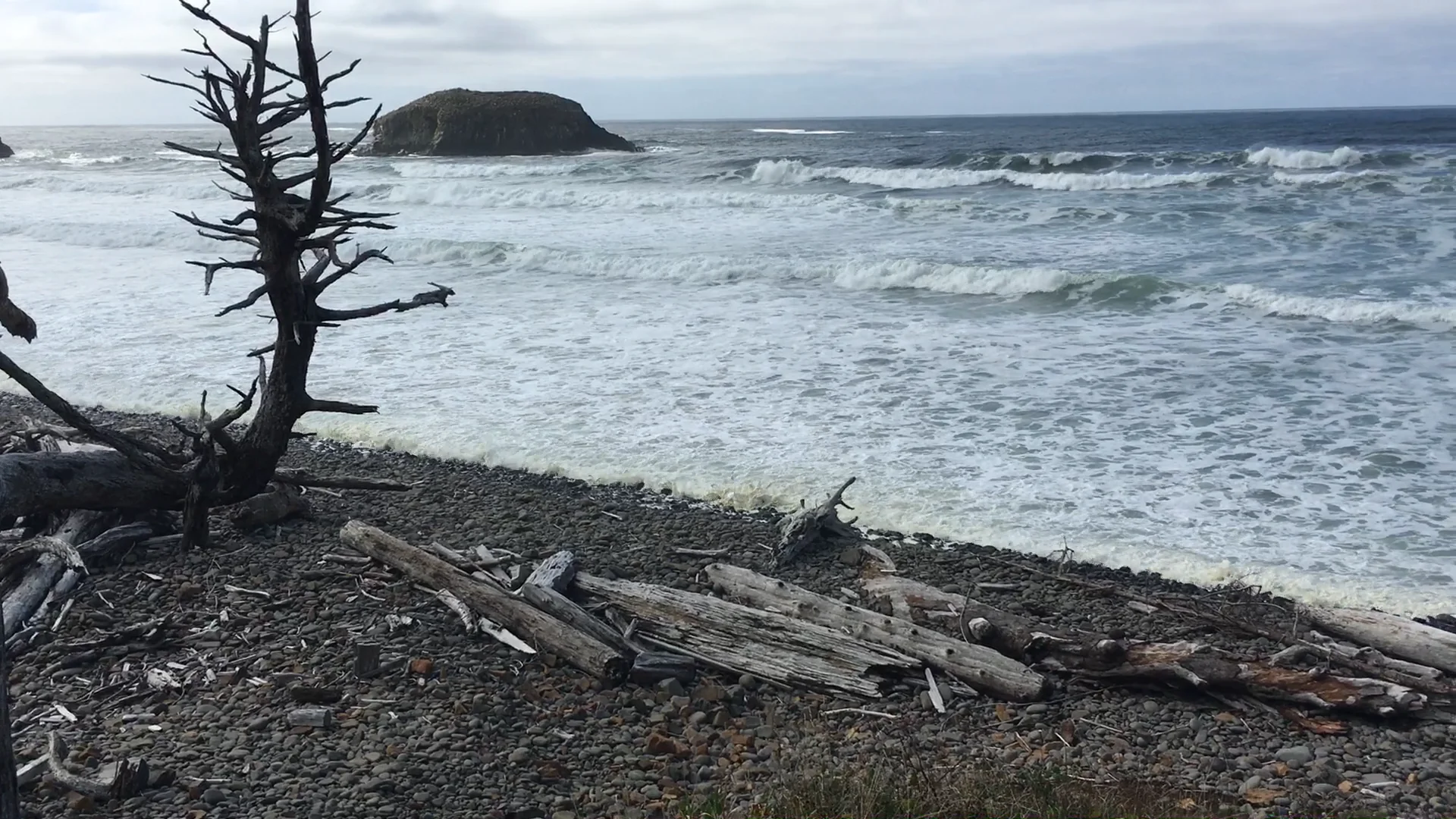 Centennial Chinooks - 2017.??? - Human Enrichment - Falcon Cove at High ...