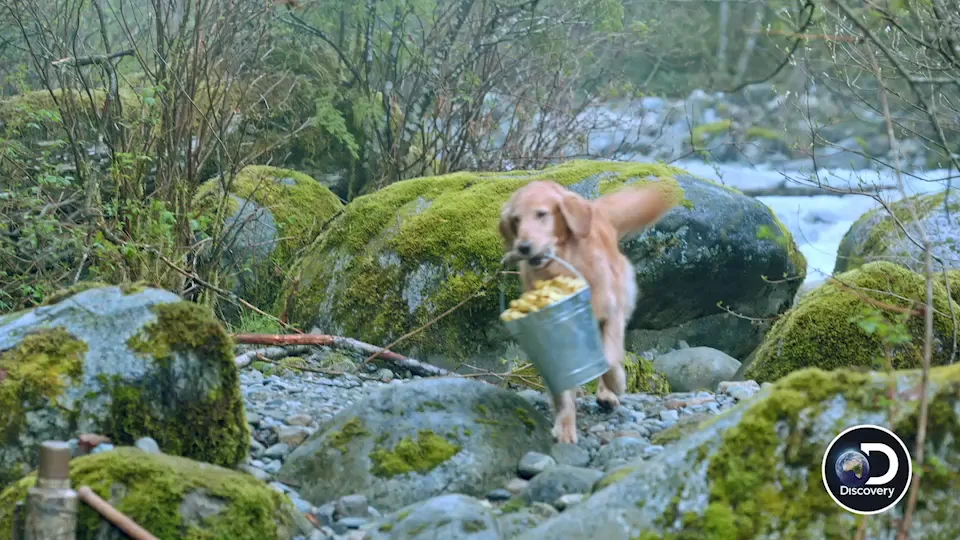 Geico Discovery Channel on Vimeo