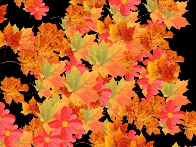 GABY-LOOP-2_1 on Vimeo