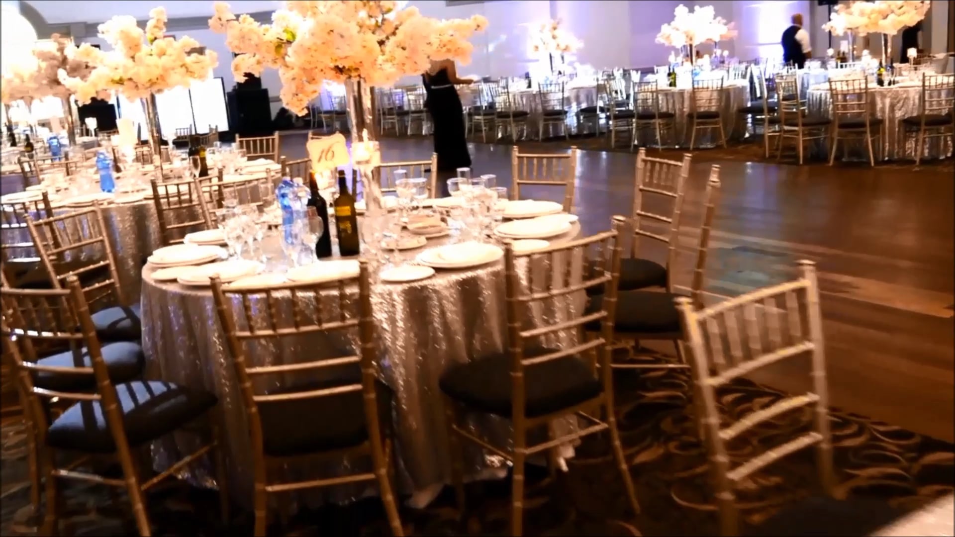 Mariam & Mark 2017 Wrap up video #1 on Vimeo