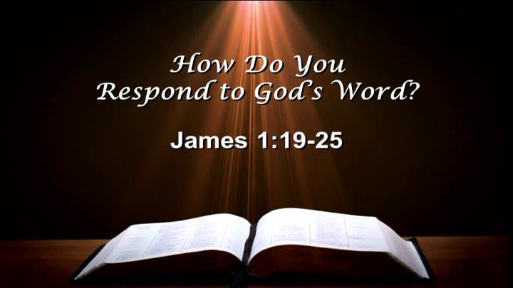 How Do You Respond to God's Word? on Vimeo