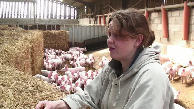 Self-shooting Director: Jeremy Riggall - Save our Bacon on Vimeo