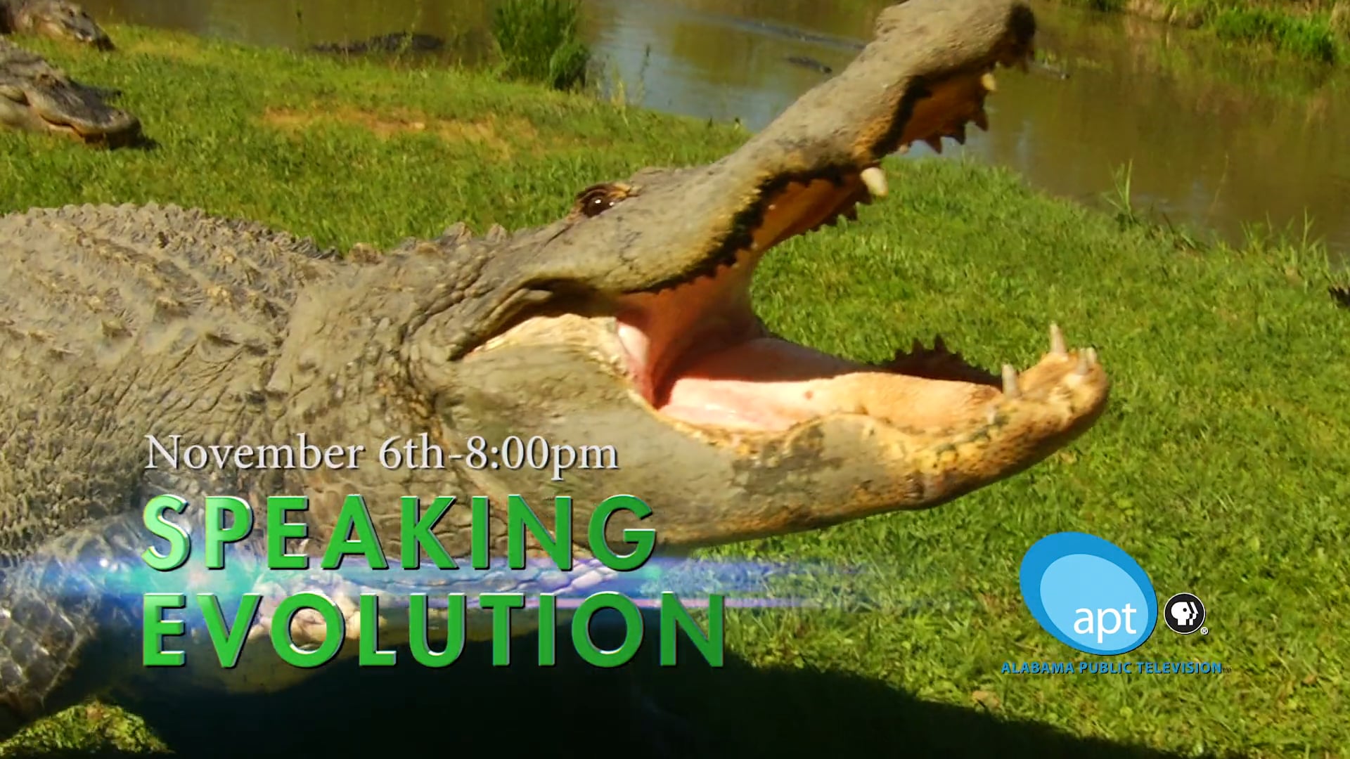 Speaking Evolution Promo 30 Gator on Vimeo