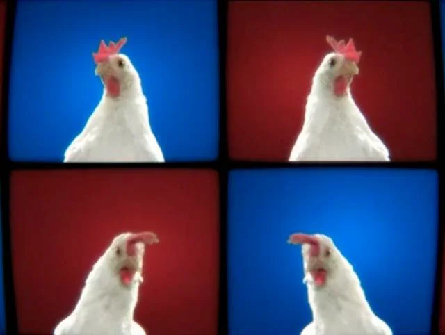 Chicken Techno on Vimeo