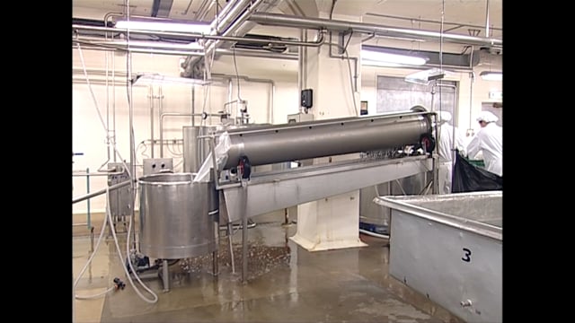 Scaling-up production — Science Learning Hub