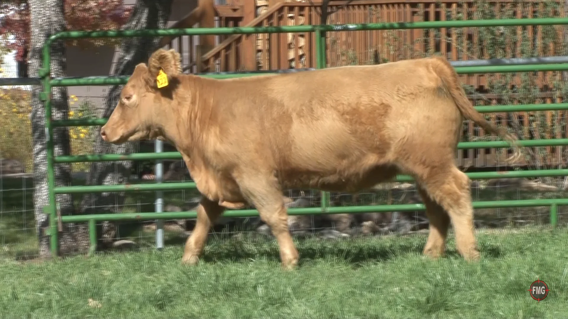 G-Force Tag 122 on Vimeo