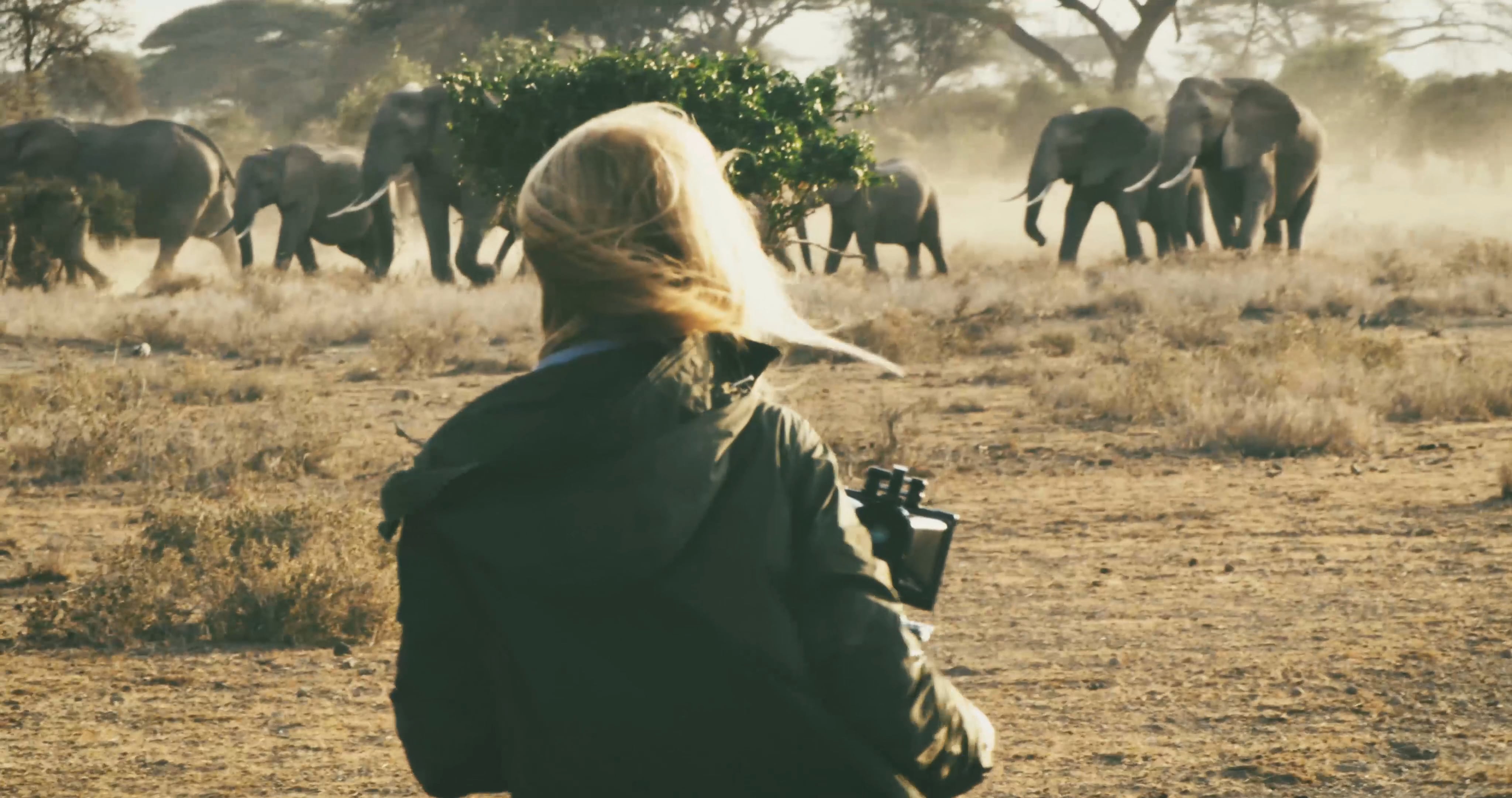 Cockpit USA "Anorak & Elephants" Globe Trotter Series: Kire Godal ...