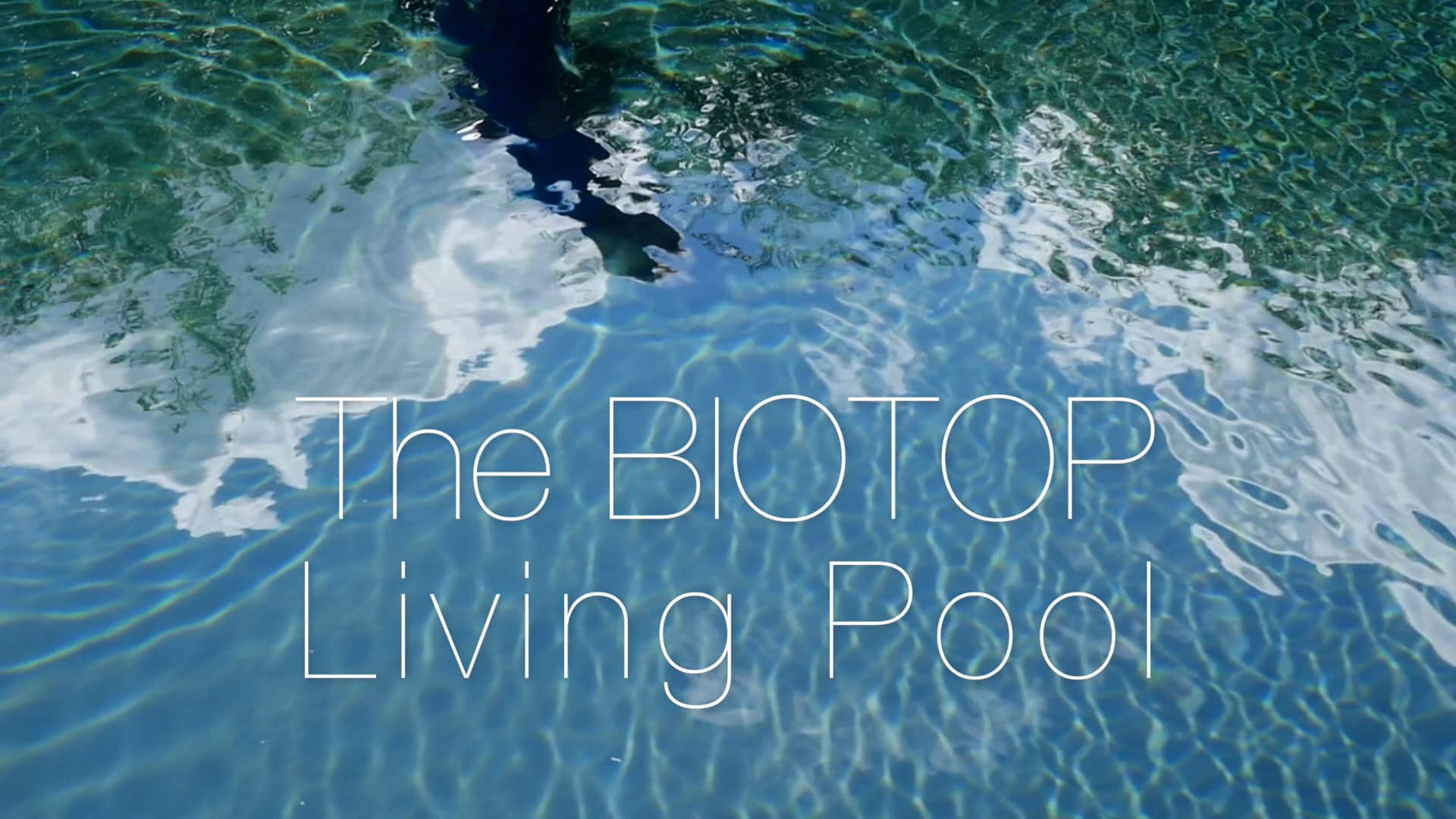 BIOTOP Living pools don’t have to have plants on Vimeo