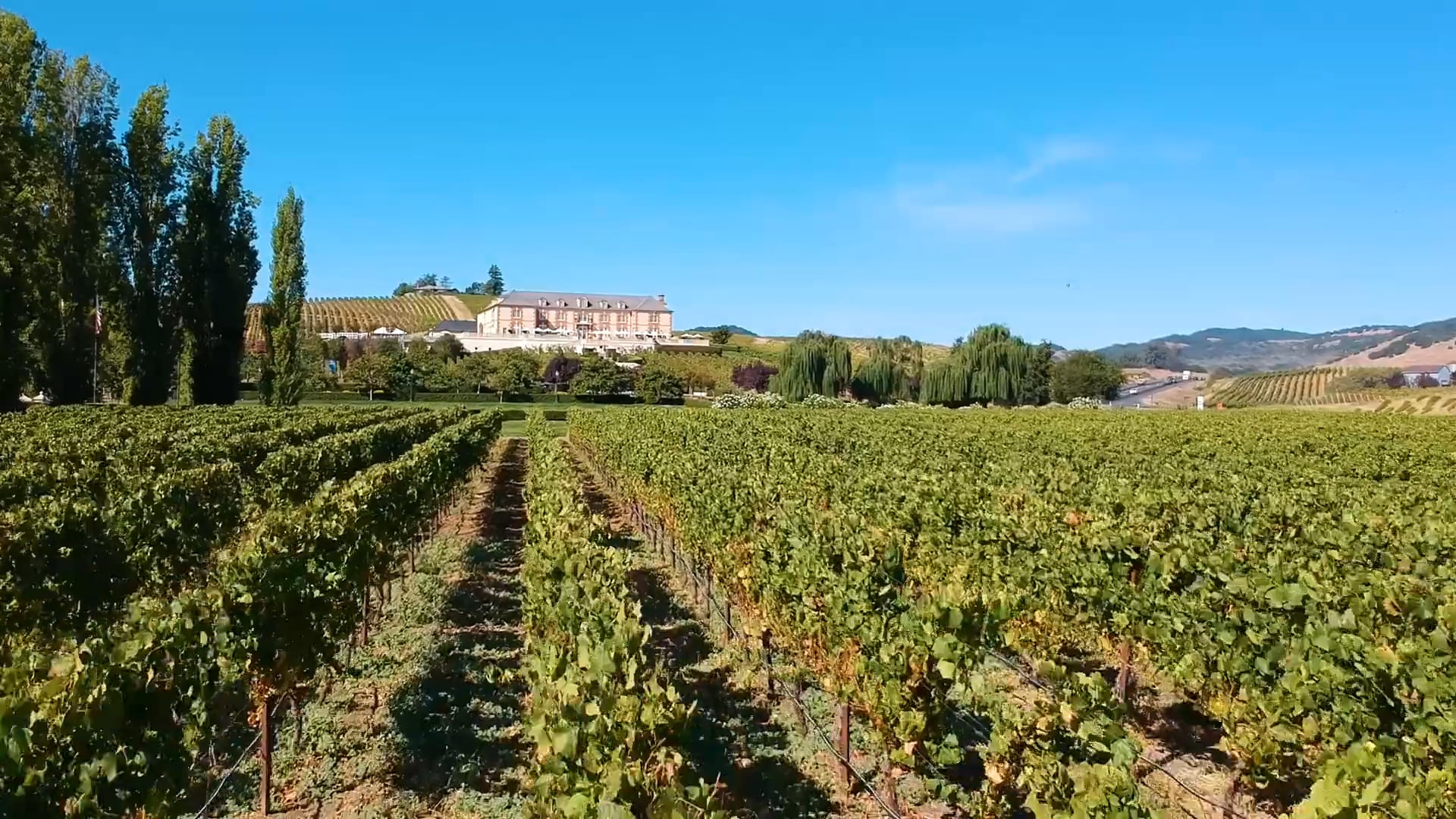 Nicole Needham Presents : Napa, California on Vimeo