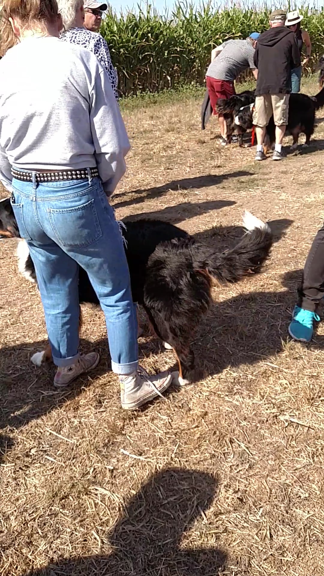 Farmer John's Berner Day - HMB on Vimeo