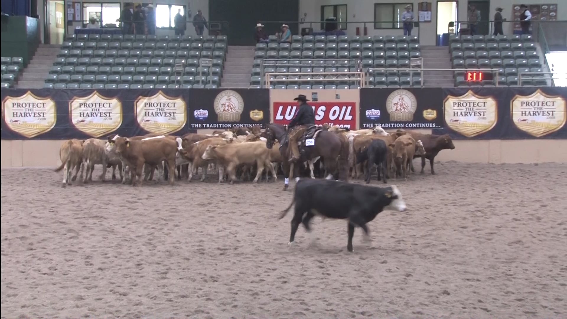 ONE SMOOTH PEPTO & Ken Wold - 2017-09-16 - Reno Snaffle Bit Futurity ...