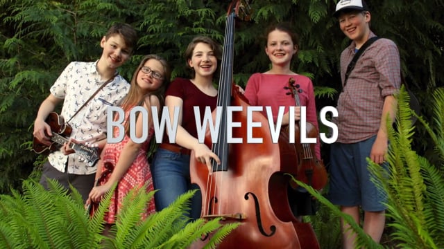 Bow Weevils- a traditional string band on Vimeo