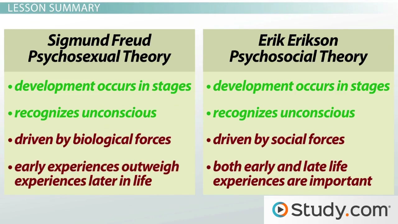 Differences Between Freud and Eriksons Approaches to Psychoanalytic ...