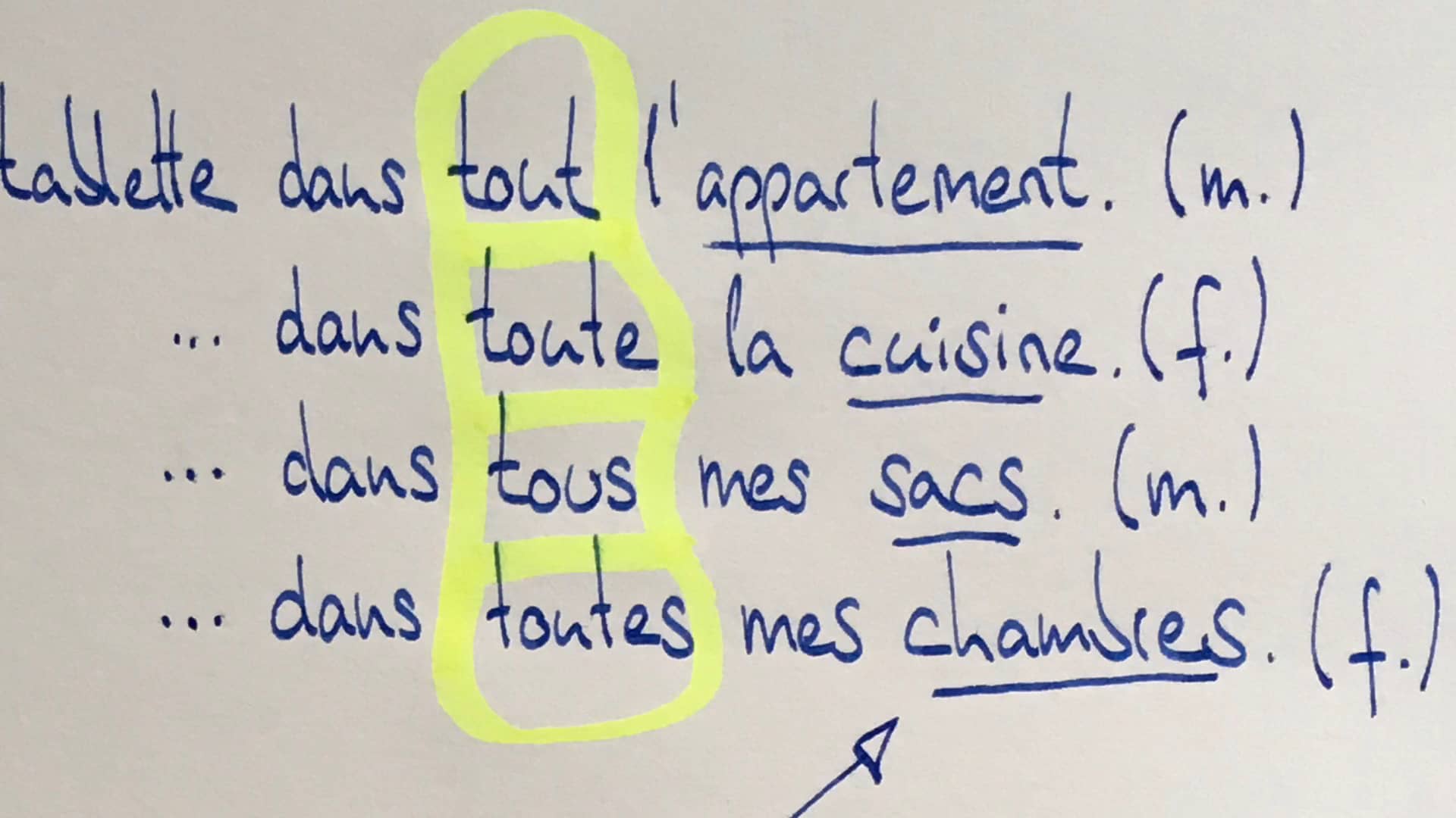 Der unbestimmte Begleiter tout im Französischunterricht on Vimeo