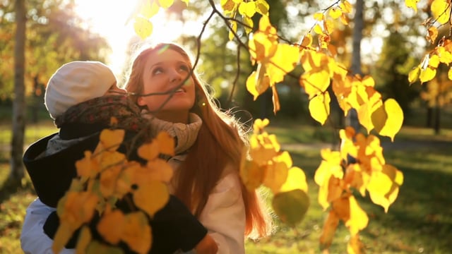 Memory Forest Launches with the Goal of Turning Tombstones into Trees ...