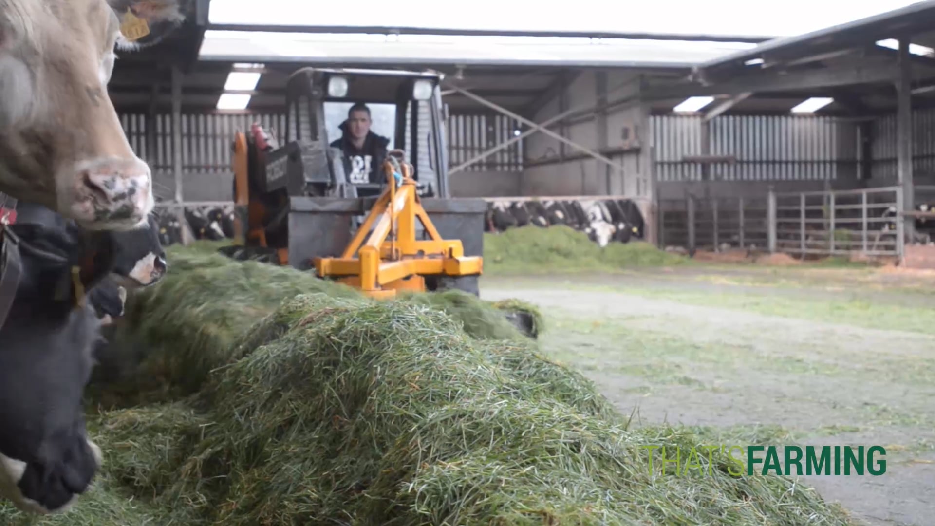 Tim Mannion Tests the Sixty 5 Grass Guide on Vimeo