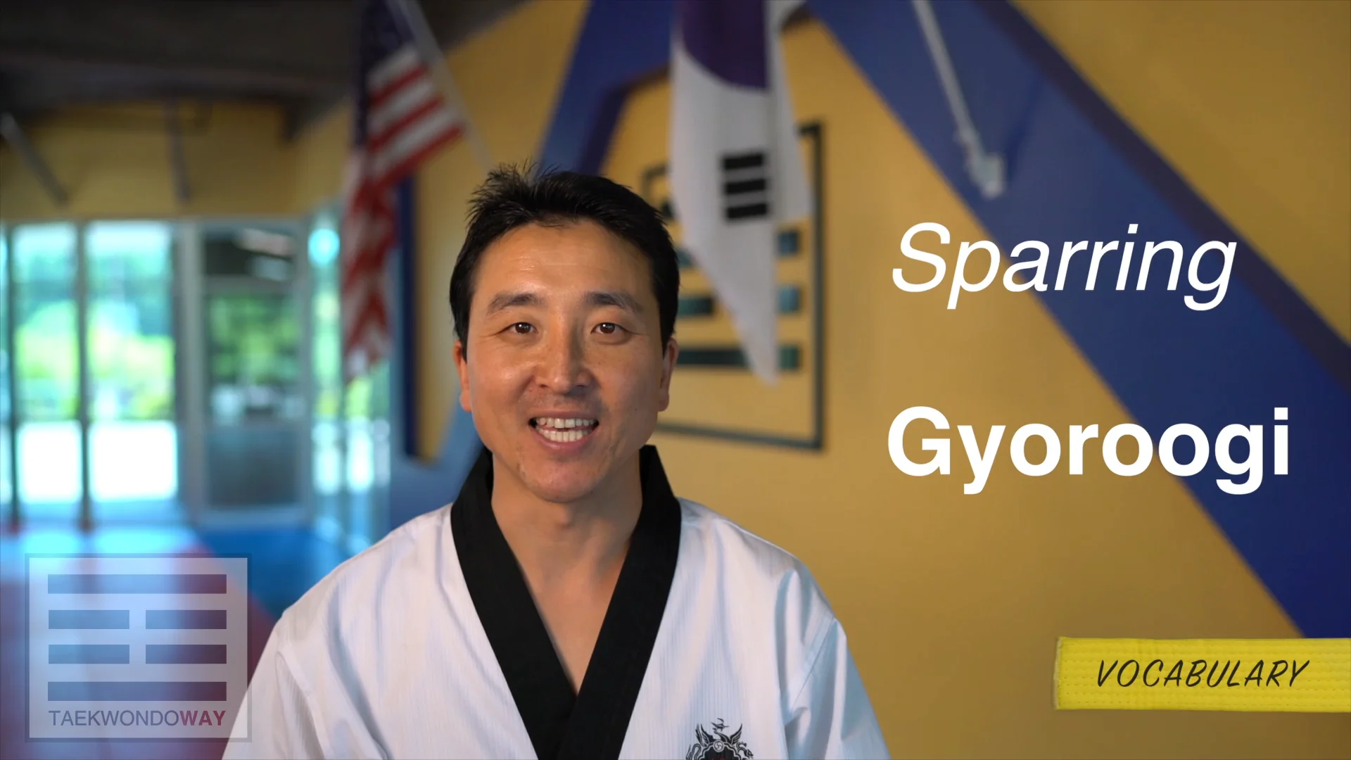 High Yellow Belt Curriculum - Vocabulary: Yellow to High Yellow on Vimeo