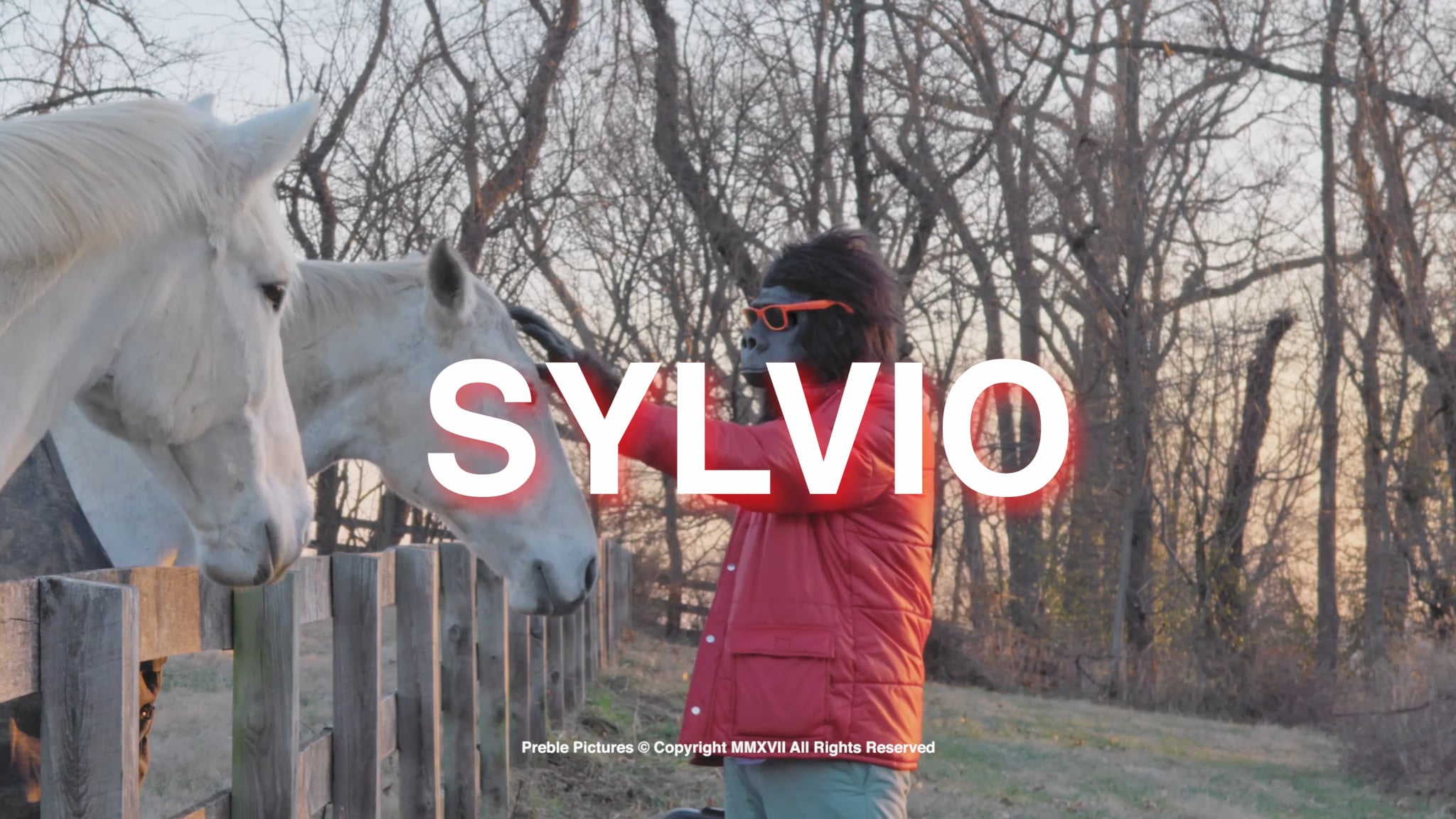 Sylvio - Official Trailer on Vimeo