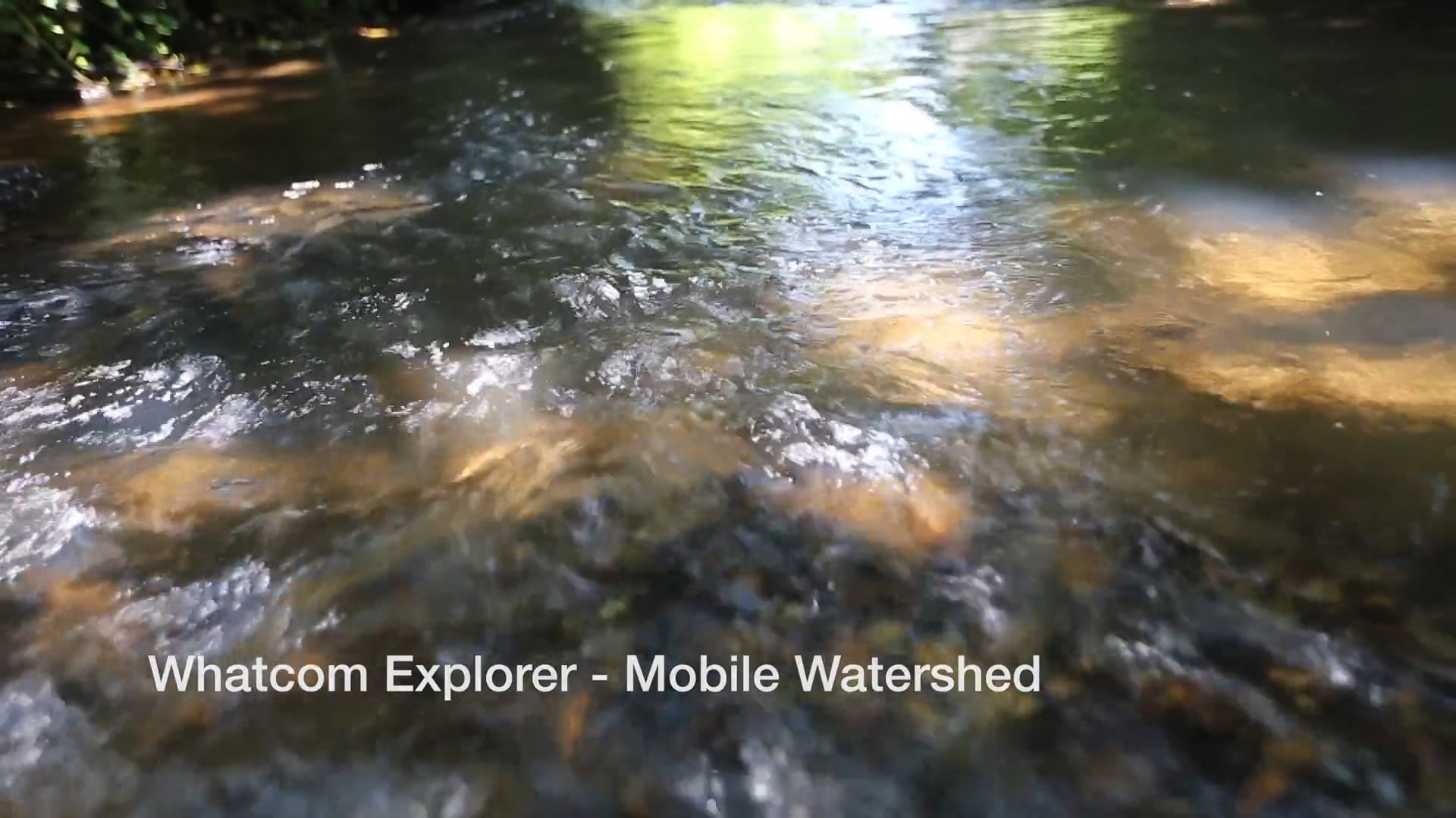Whatcom Explorer - Mobile Watershed (Informational Video) on Vimeo
