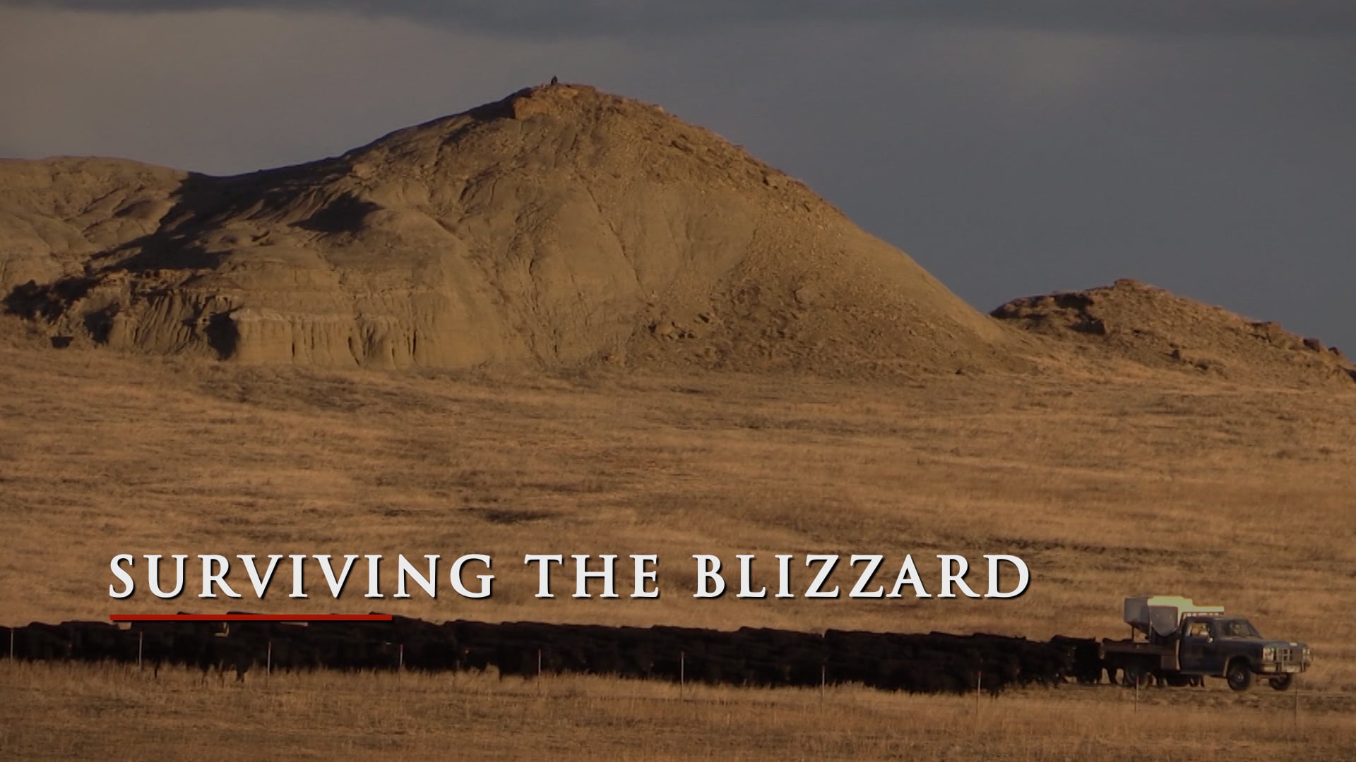 I AM ANGUS: Surviving the Blizzard | Hugh and Eleanor Ingalls on Vimeo