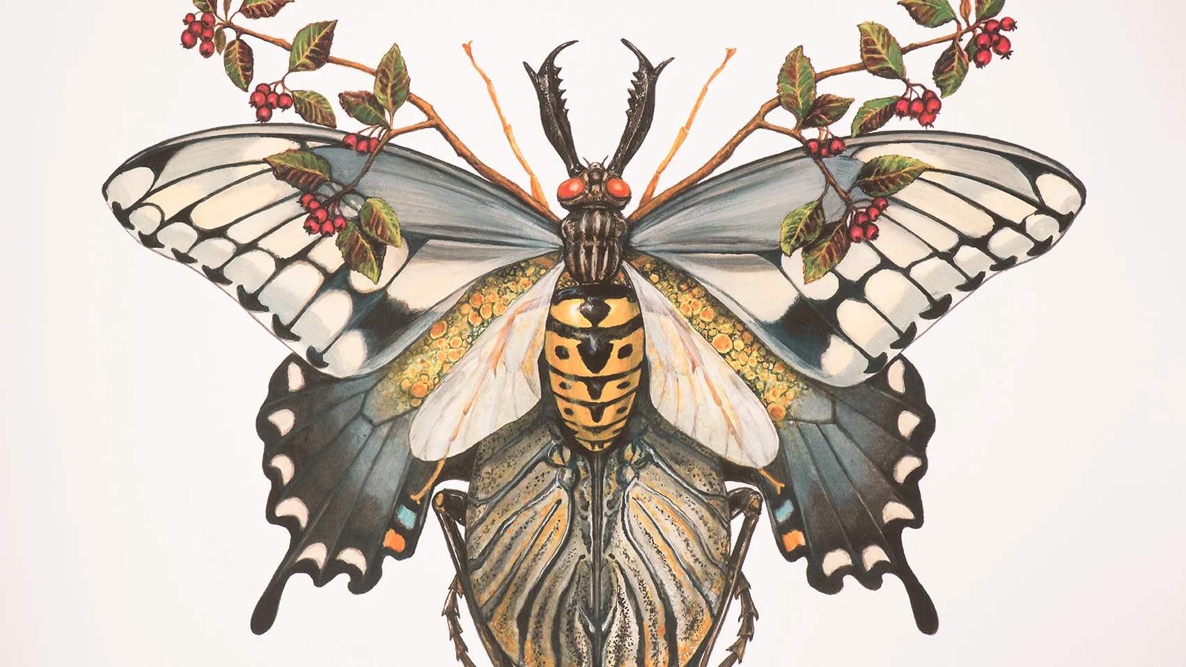 Muswell Hill Creatives - Jess Albert, Artist. on Vimeo