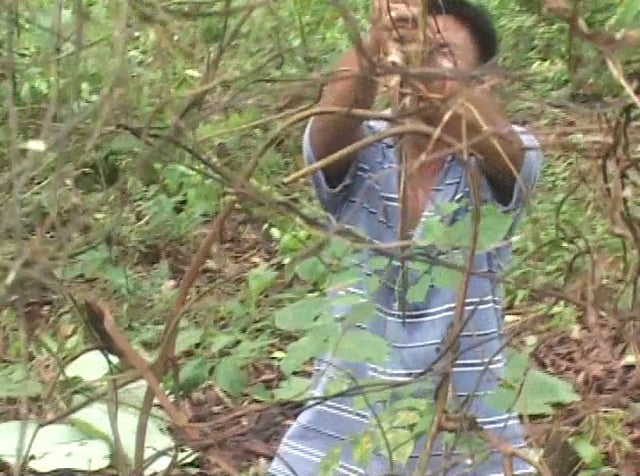Kamayo Language of the Philippines on Vimeo