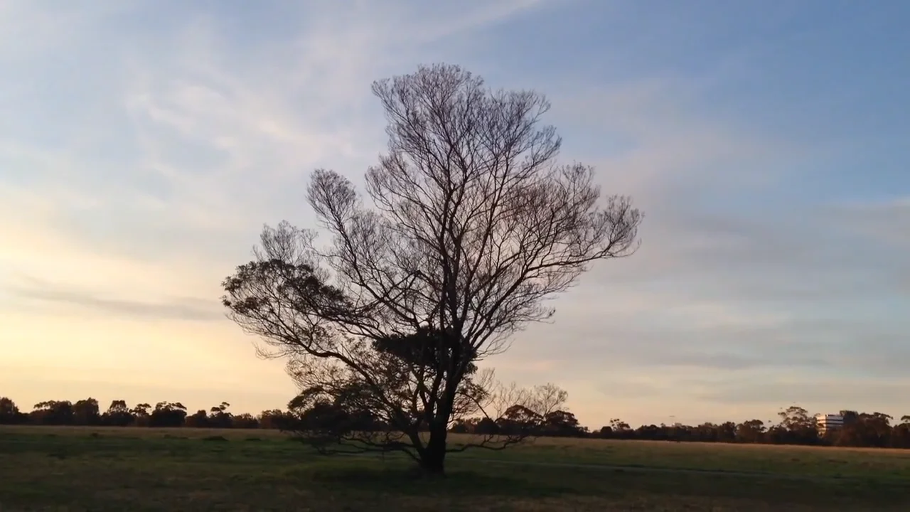 I don't know where home is on Vimeo
