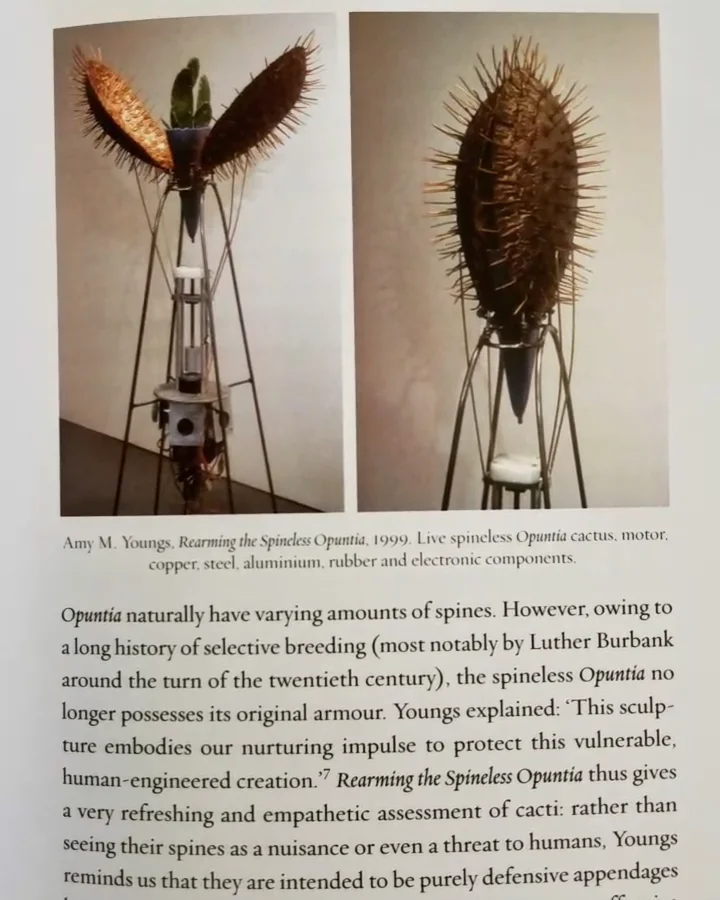 Cactus Book, by Dan Torre on Vimeo