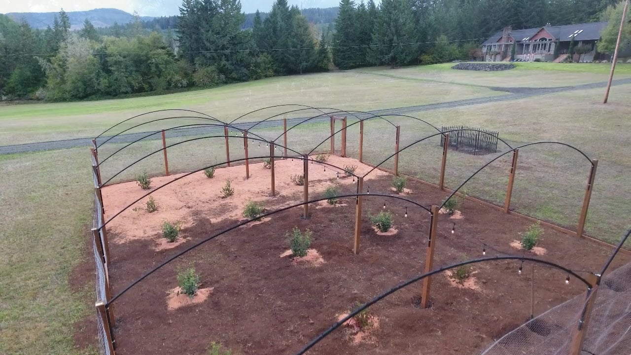 Blueberry Enclosure on Vimeo
