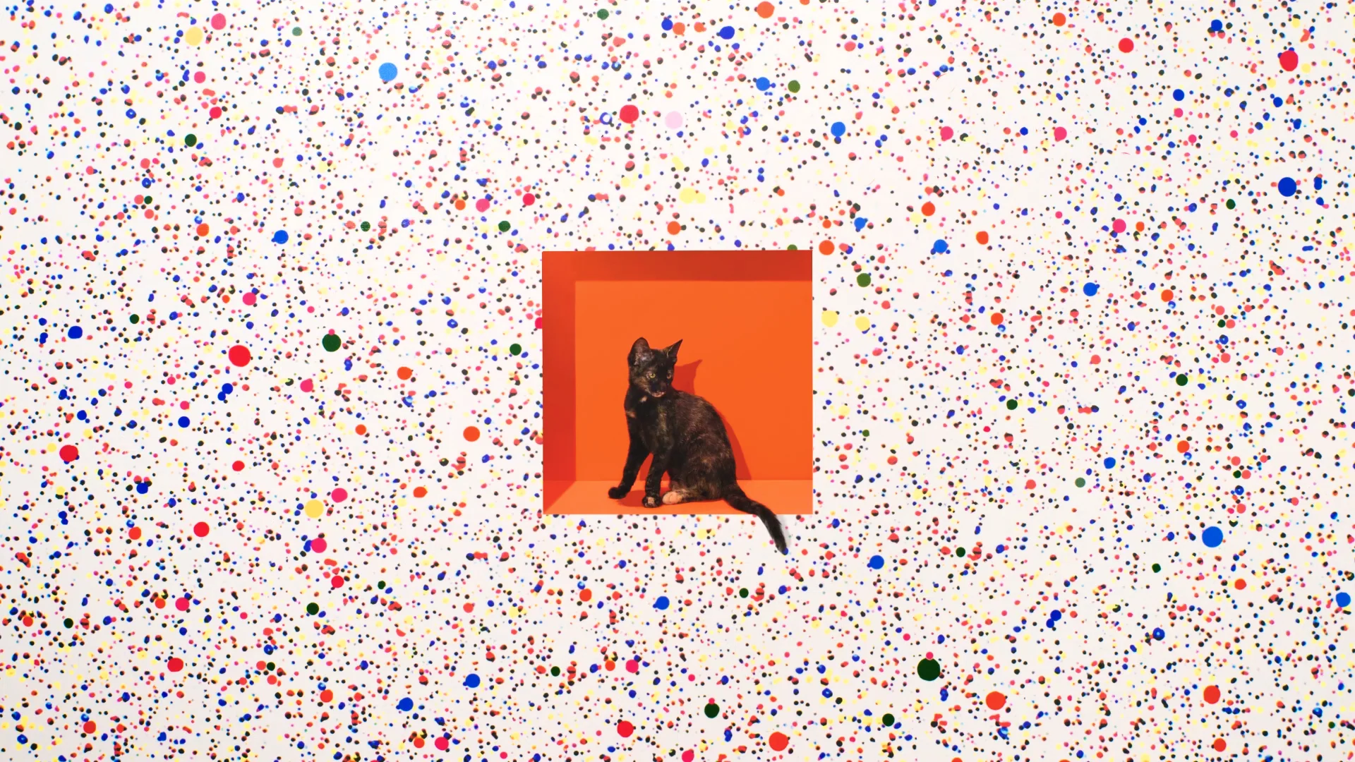 in Best of Vimeo Staff Picks on Vimeo