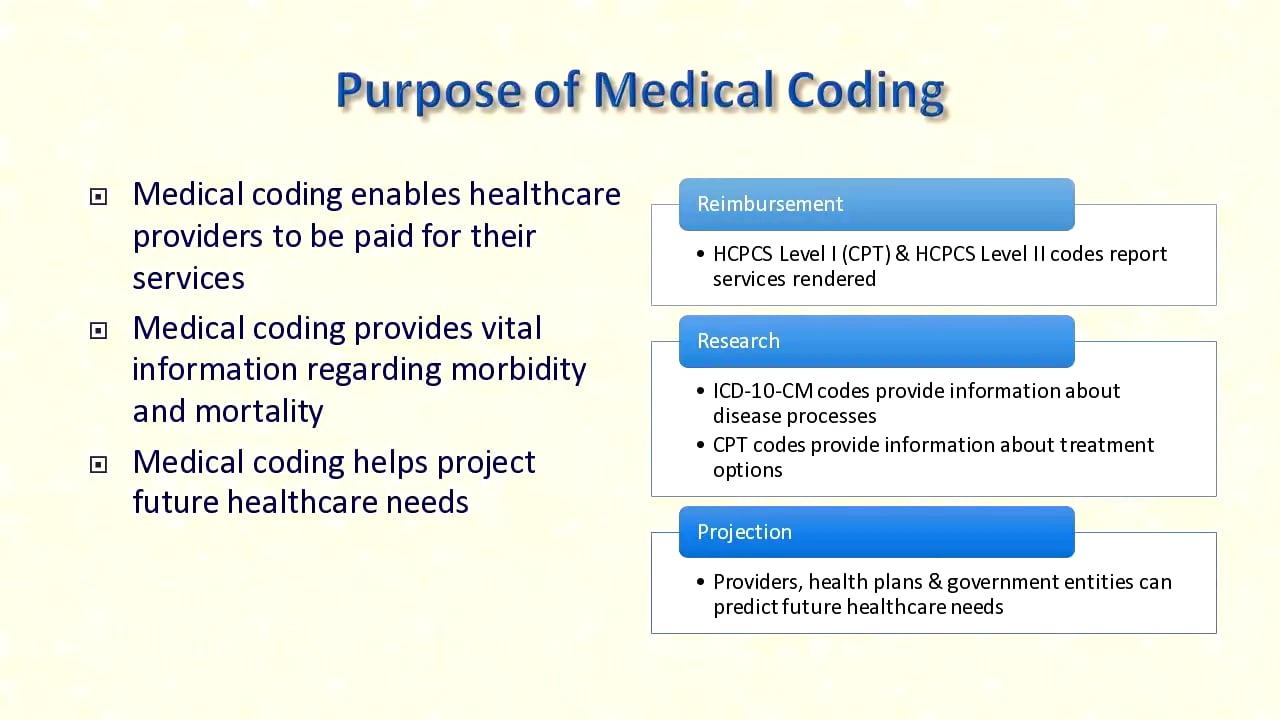 Coding Introduction on Vimeo