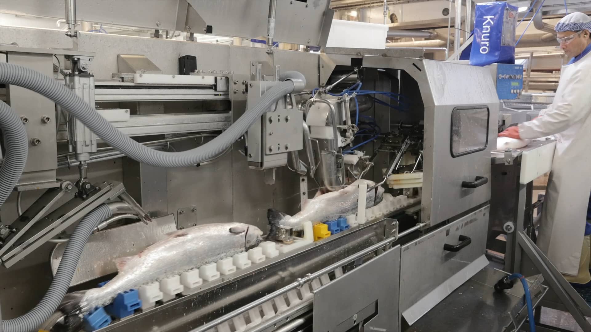 Knuro Fish Cleaner on Vimeo