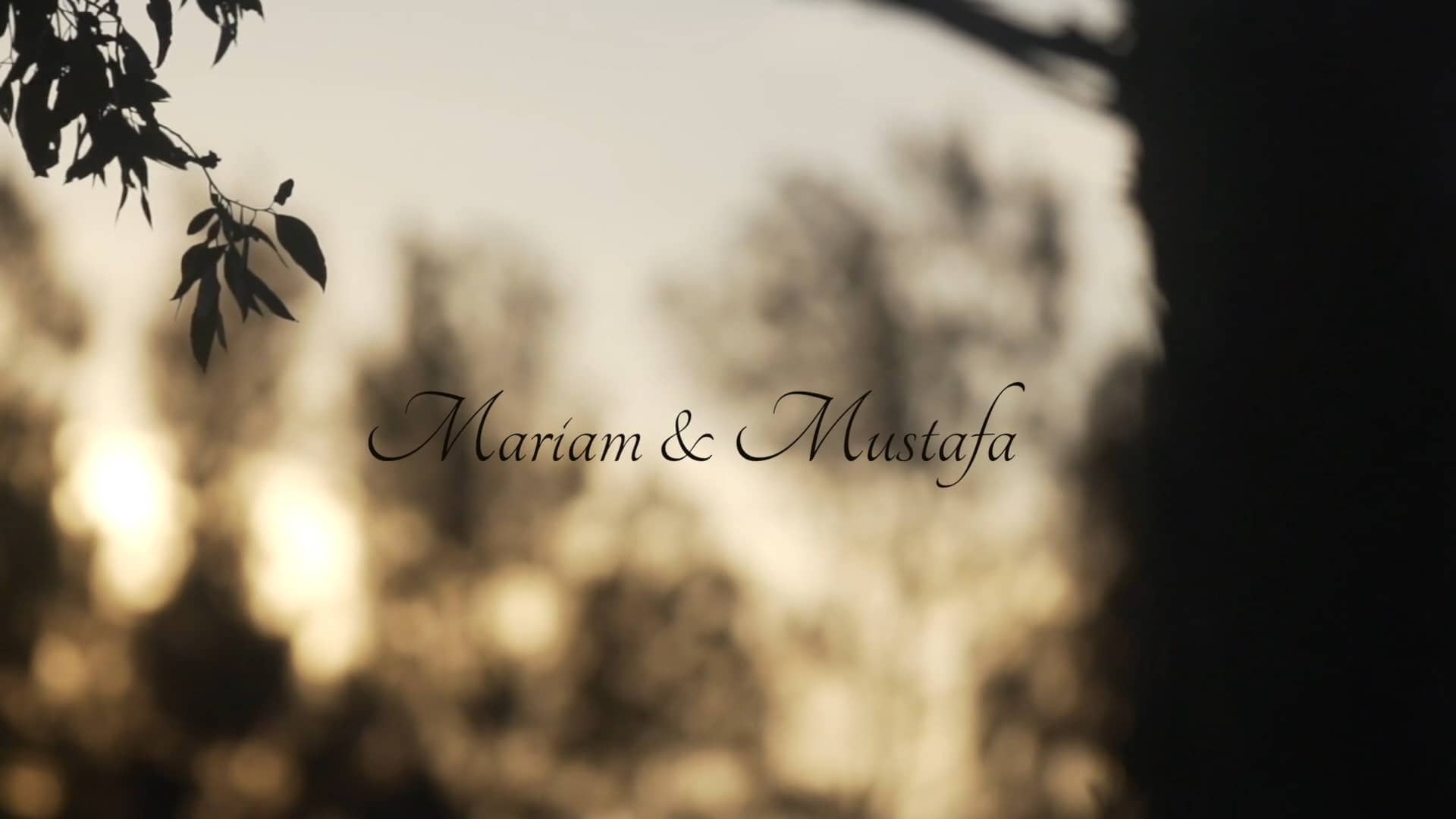 Mariam & Mustafa | Wedding Highlights Video on Vimeo