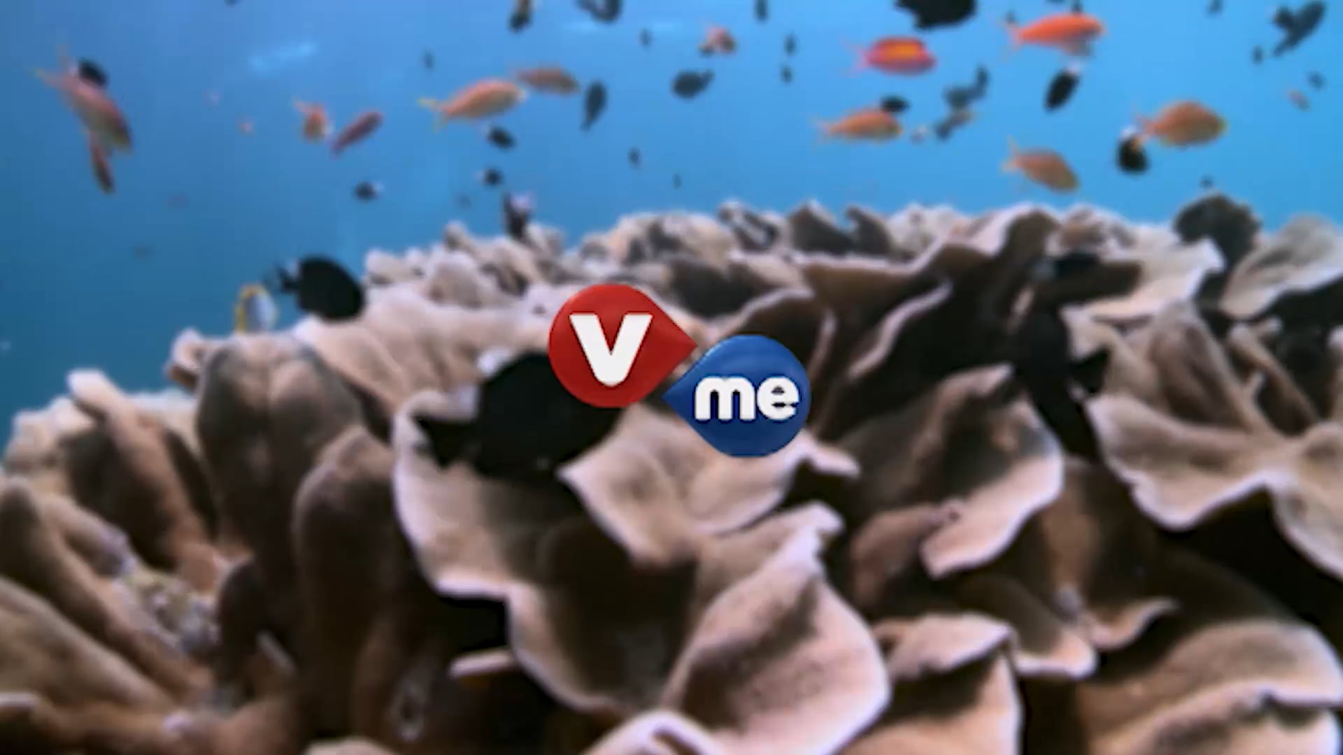 VME PROMO_NUESTRO PLANETA on Vimeo
