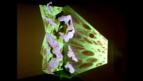 Katie Duffy - Safina Polychromos MDF, projector, custom...