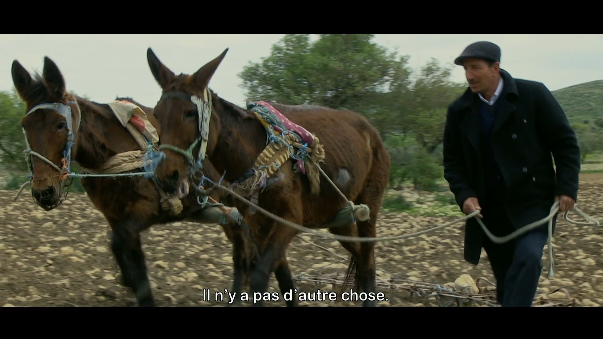BANDE ANNONCE :COUSCOUS,LES GRAINES DE LA DIGNITÉ FR | Videos & Movies ...