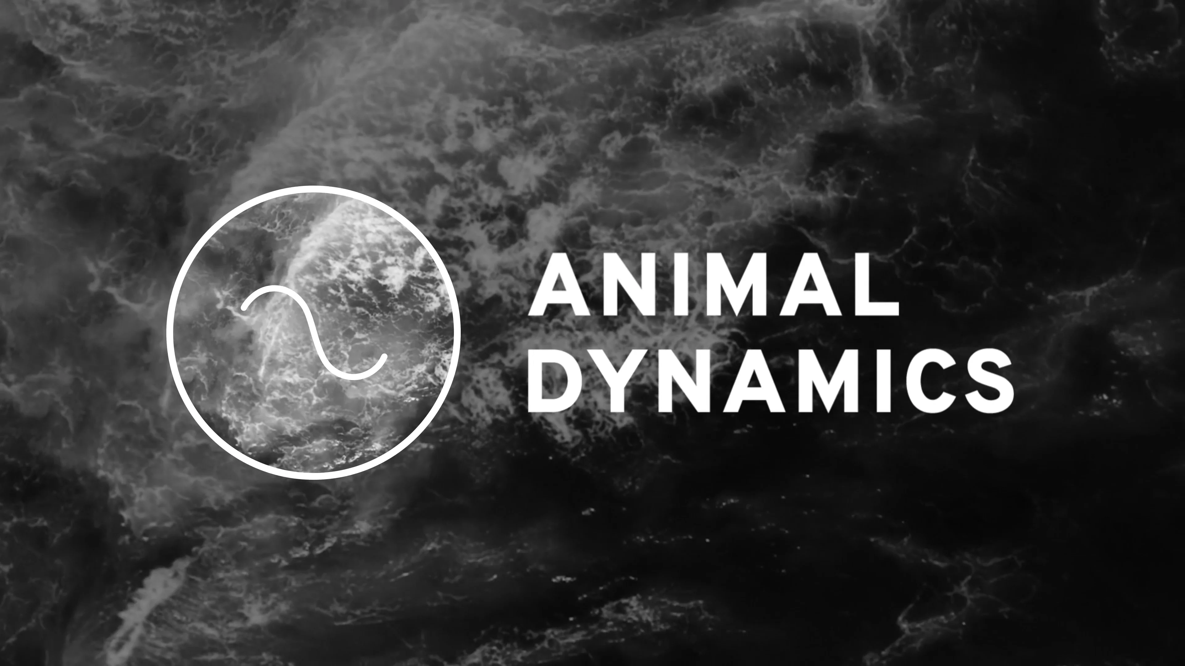 Why Animal Dynamics? on Vimeo