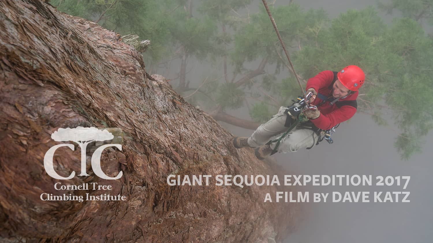 Cornell Tree Climbing - Giant Sequoia Expedition 2017 on Vimeo