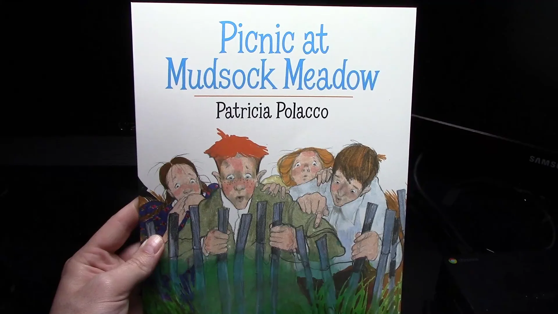 Picnic at Mudsock Meadow read along