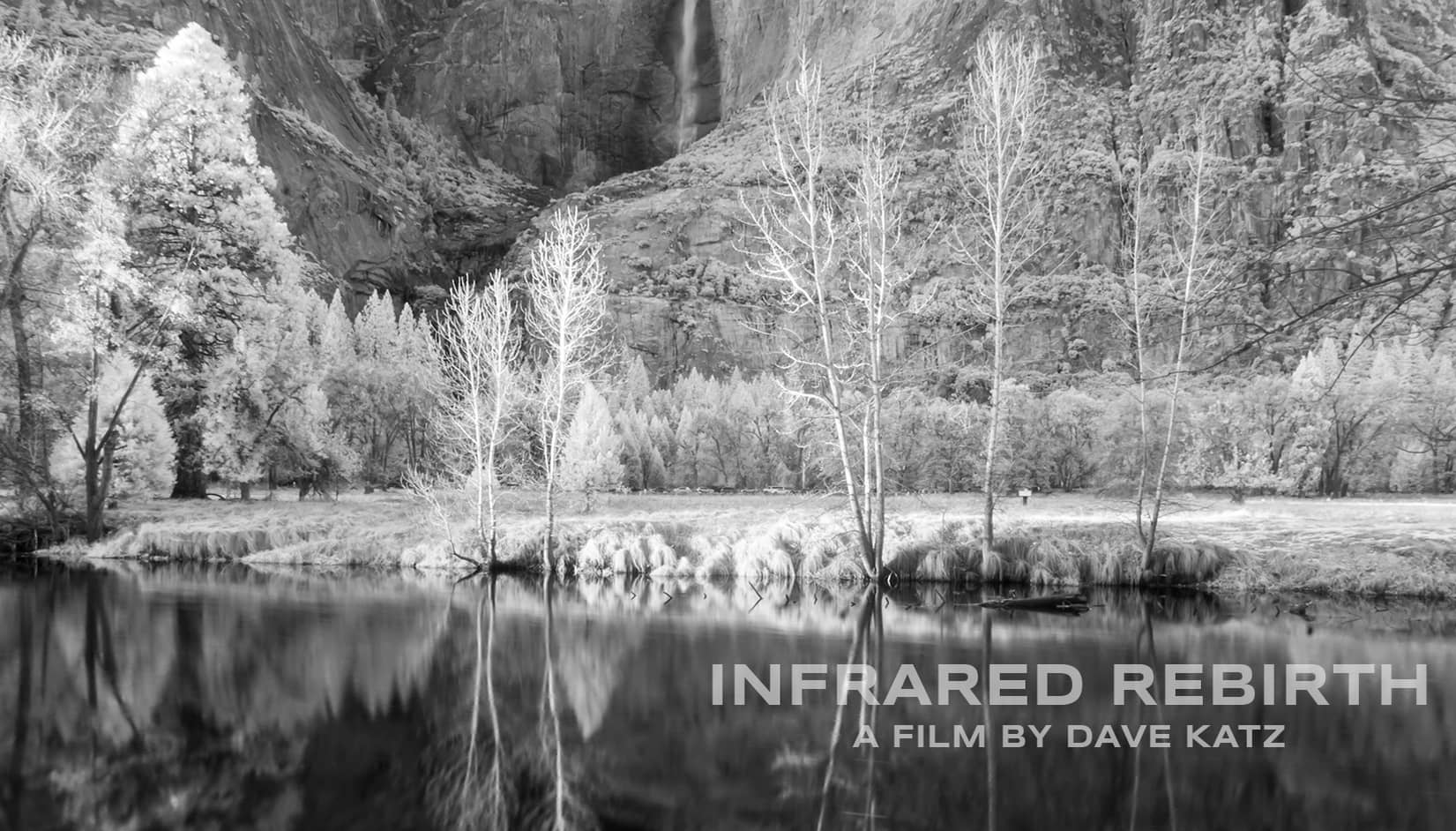 Infrared Rebirth on Vimeo