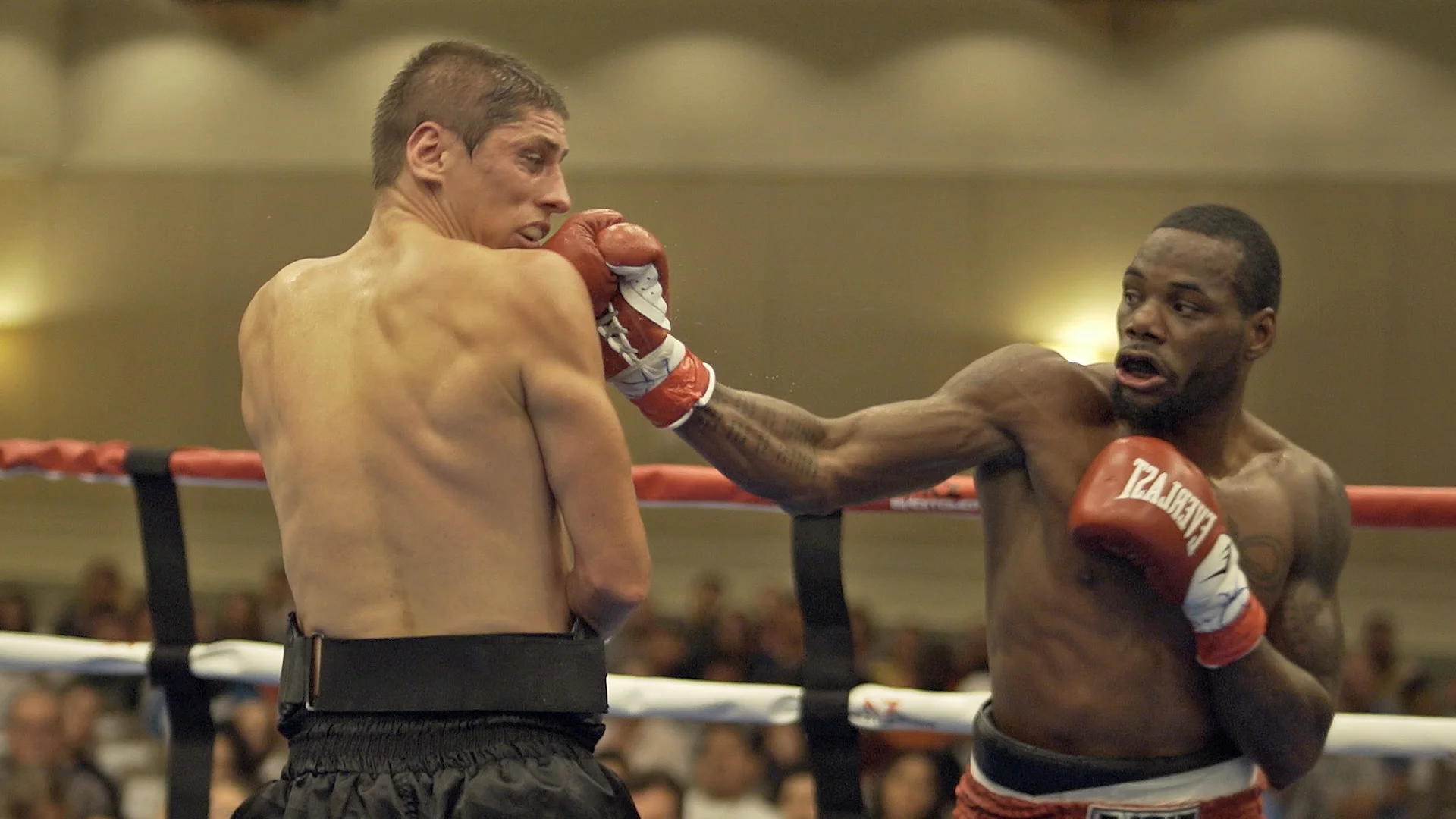 Professional Boxing Promo Highlight (SA Promotions) on Vimeo