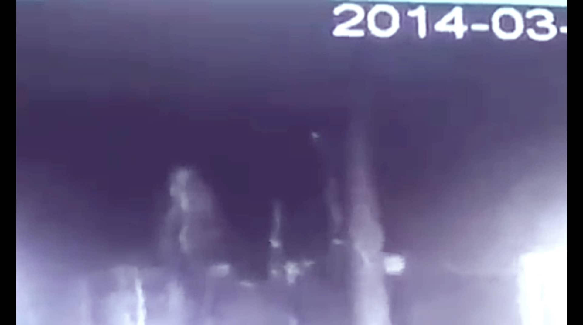 ALIEN TELEPORTS ACROSS ROAD - REAL FOOTAGE on Vimeo
