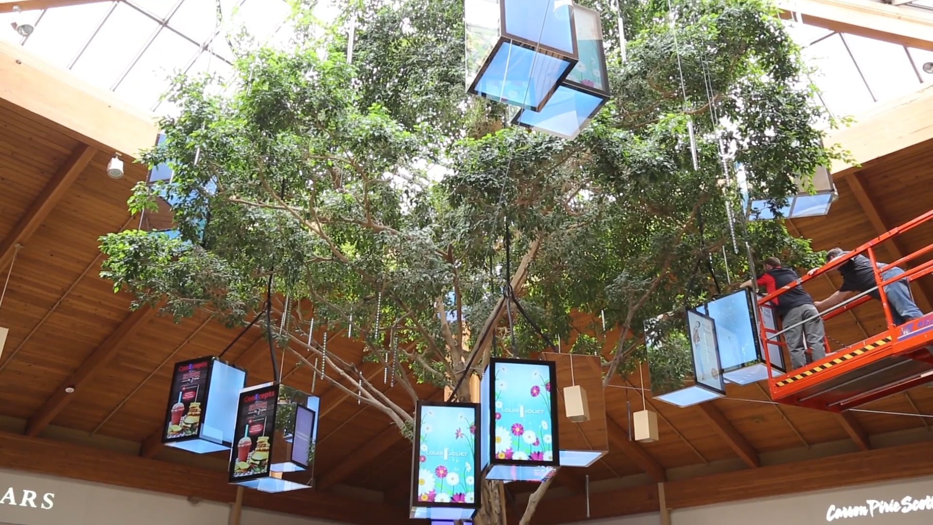 Starwood Retail Partners - Digital Tree Case Study on Vimeo