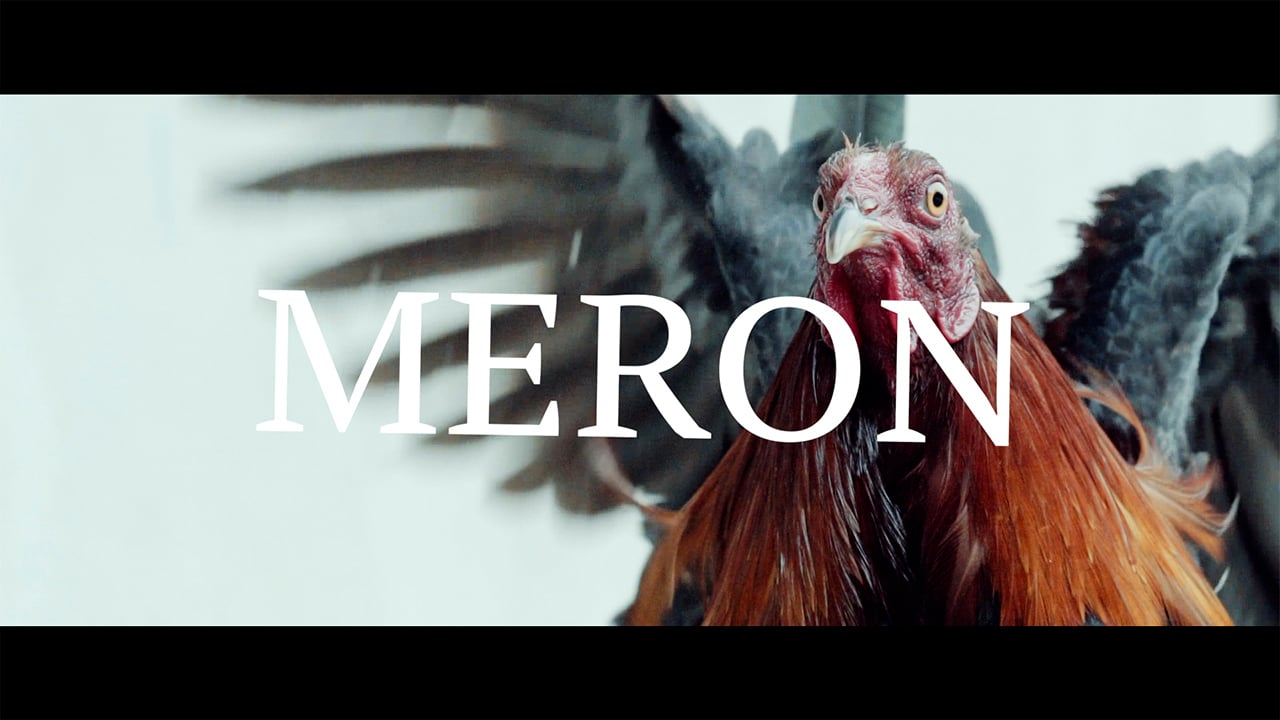 MERON on Vimeo