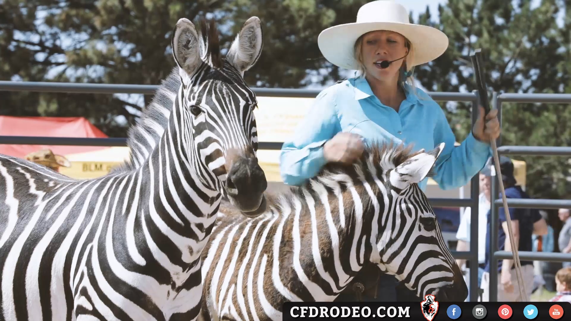 Steve_Mantle_wild horses on Vimeo