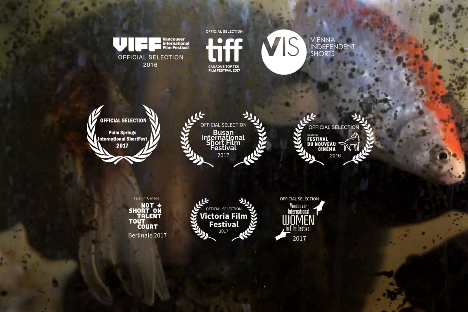 Fish on Vimeo