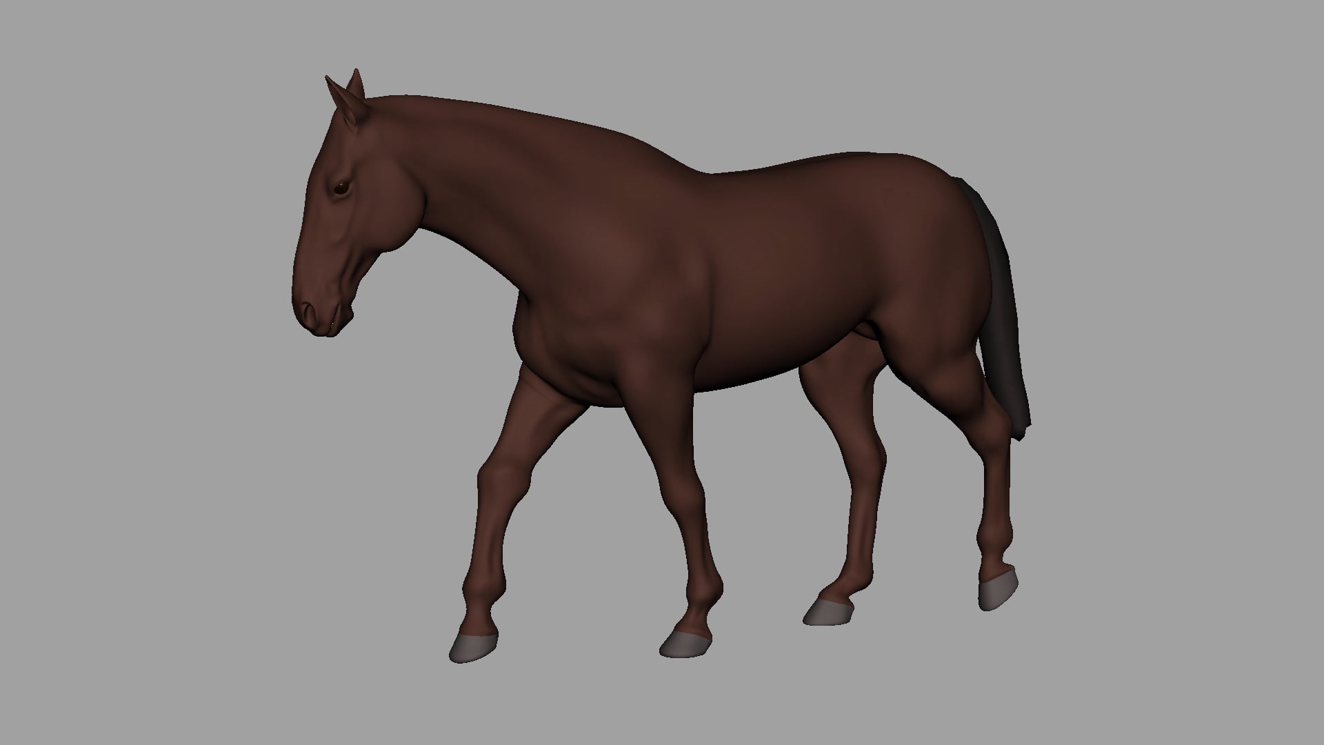 Exercise - Horse Walkcycle (March 2016) on Vimeo