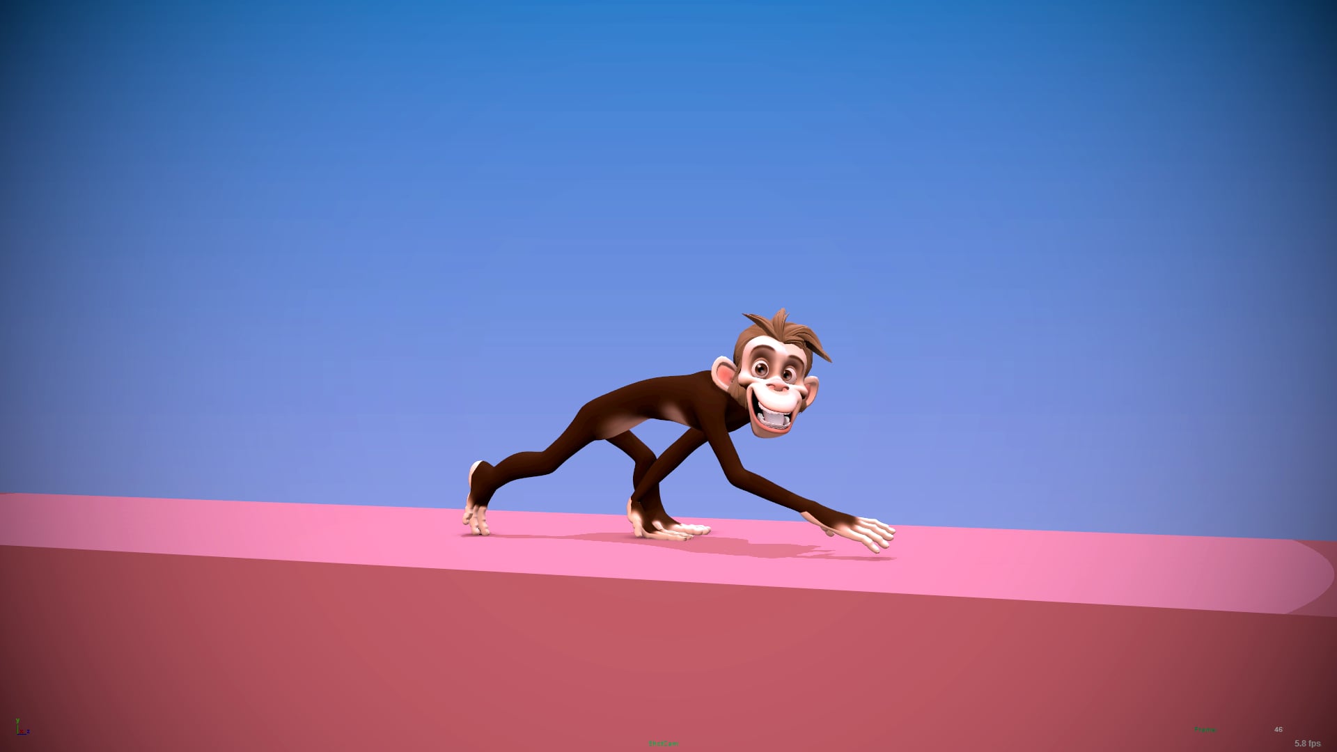 Chester the Monkey on Vimeo