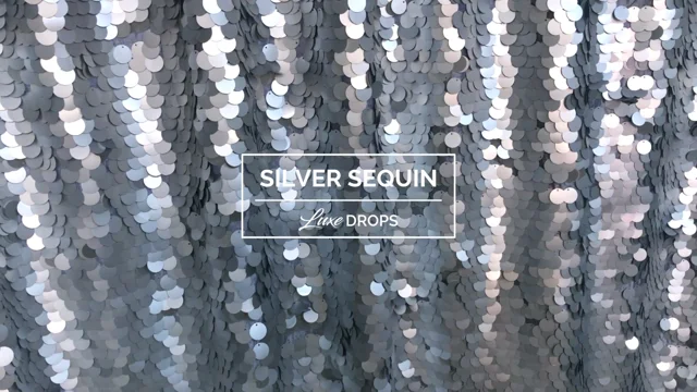 Silver Sequin Pattern